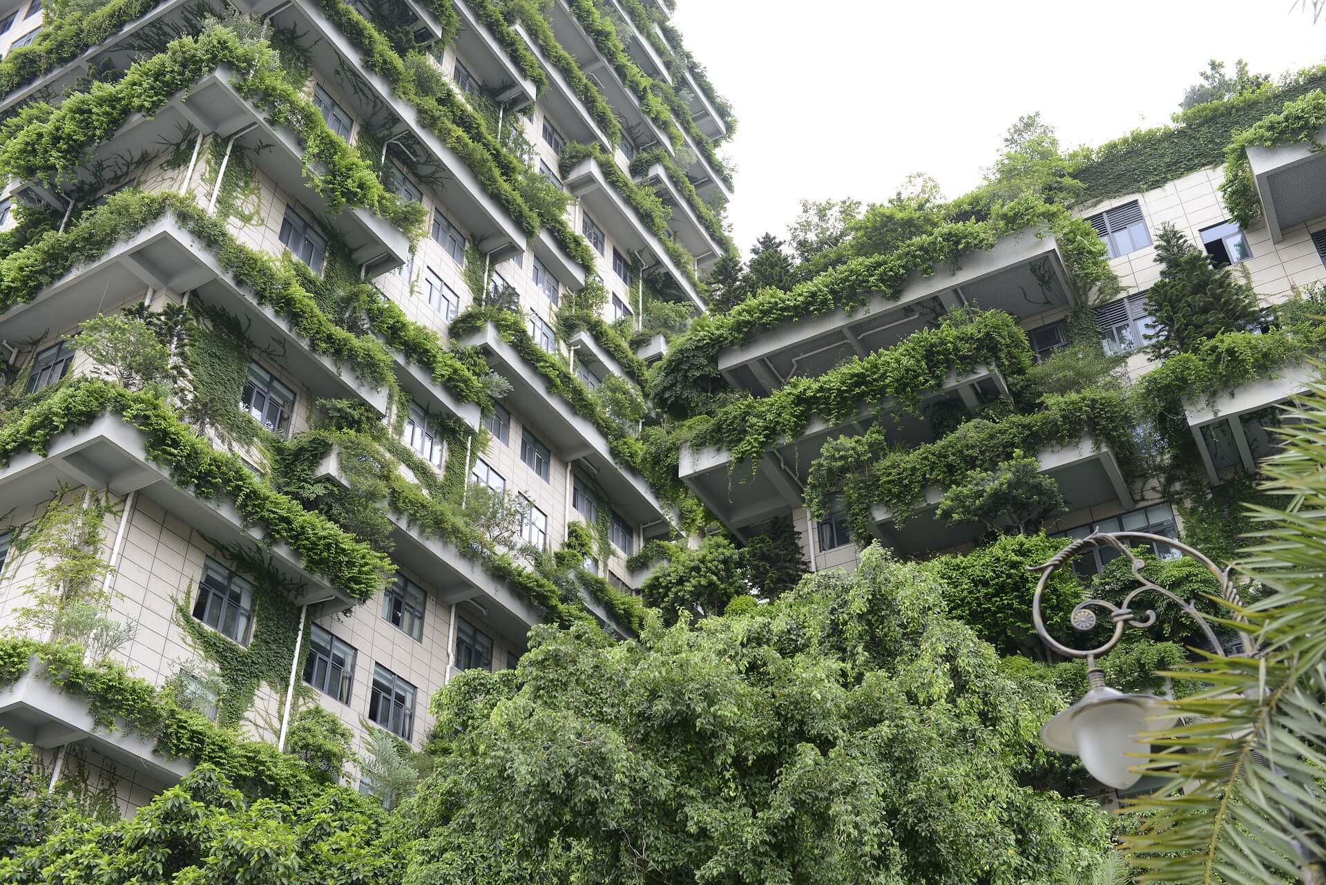The Importance and Benefits of Green Building. - Grasshopper Services