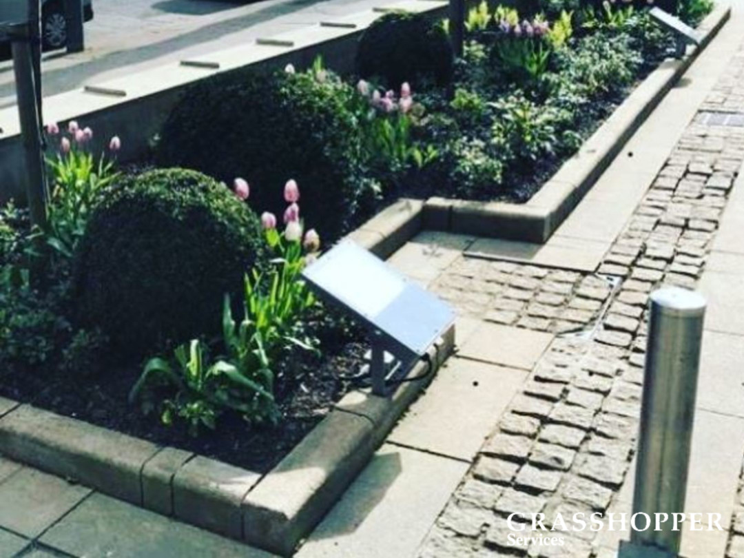 Building Main Entrance - Commercial Landscape Design & Maintenance.