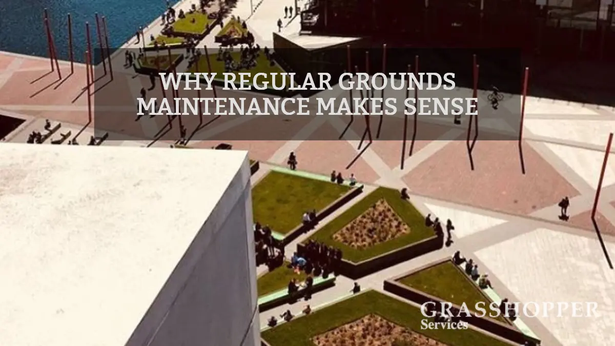 Why Regular Garden Maintenance Makes Sense | Grasshopper Services