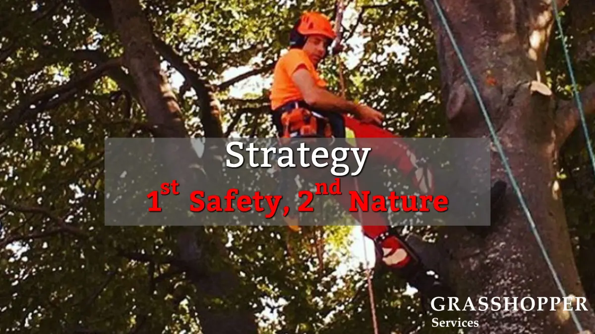 - Grasshopper Services