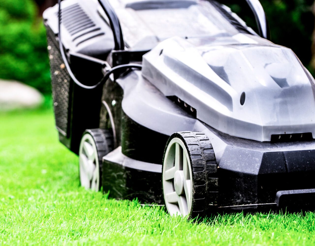 Blog - Grasshopper Services